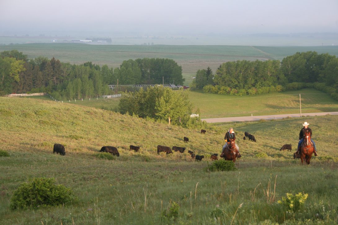 Ranching in Challenging Landscapes - News from Certified Angus Beef brand