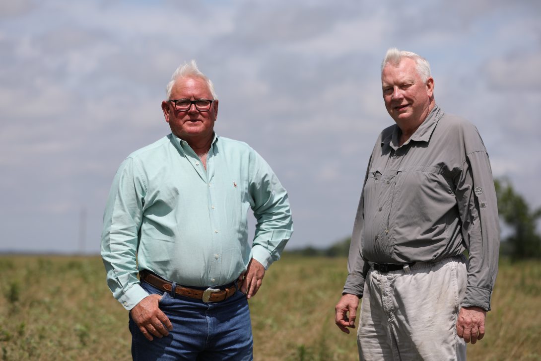 Pride and precision come together at STP Cattle News from Certified ...