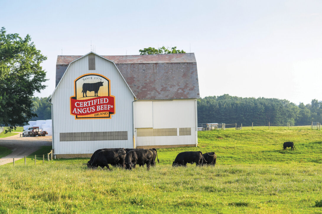 Expanding the Brand Experience - News from Certified Angus Beef brand